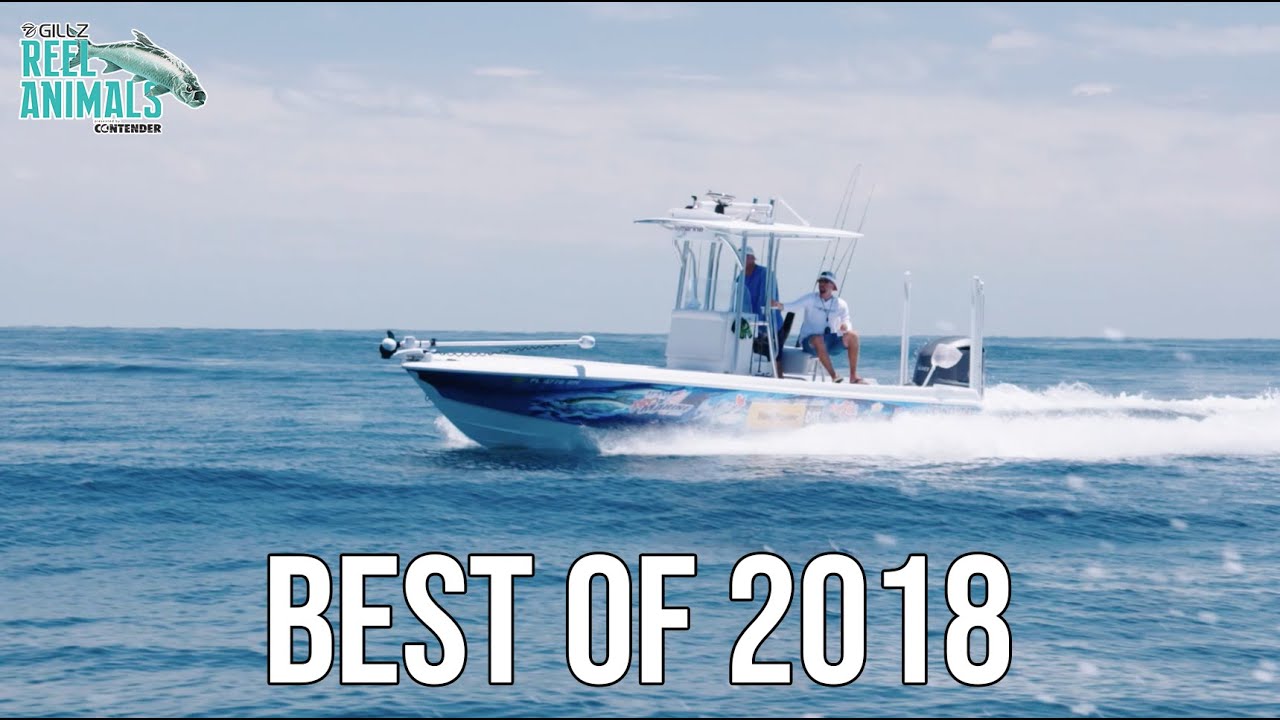 Reel Animals S12:E13 "Best Of 2018" - YouTube