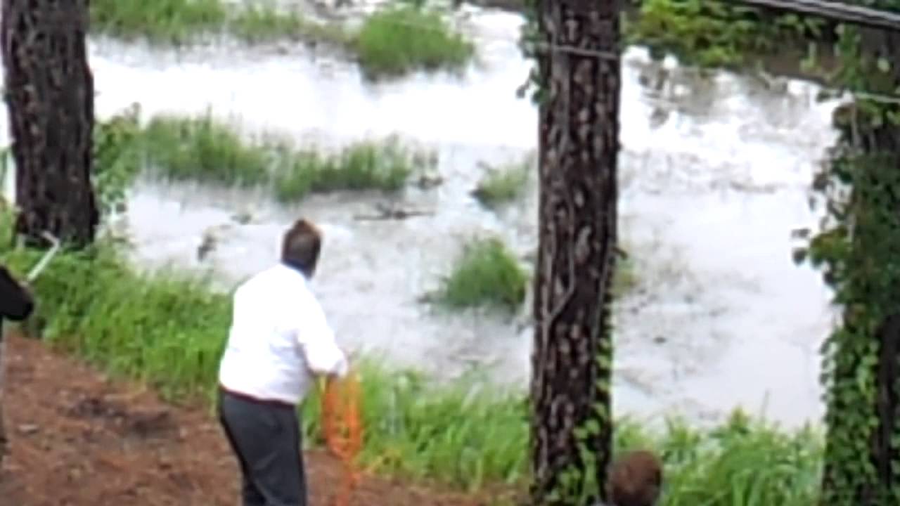 Catching a gator during Tropical Storm at work - YouTube