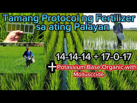 Protocol and Applying Fertilizer step by step - YouTube