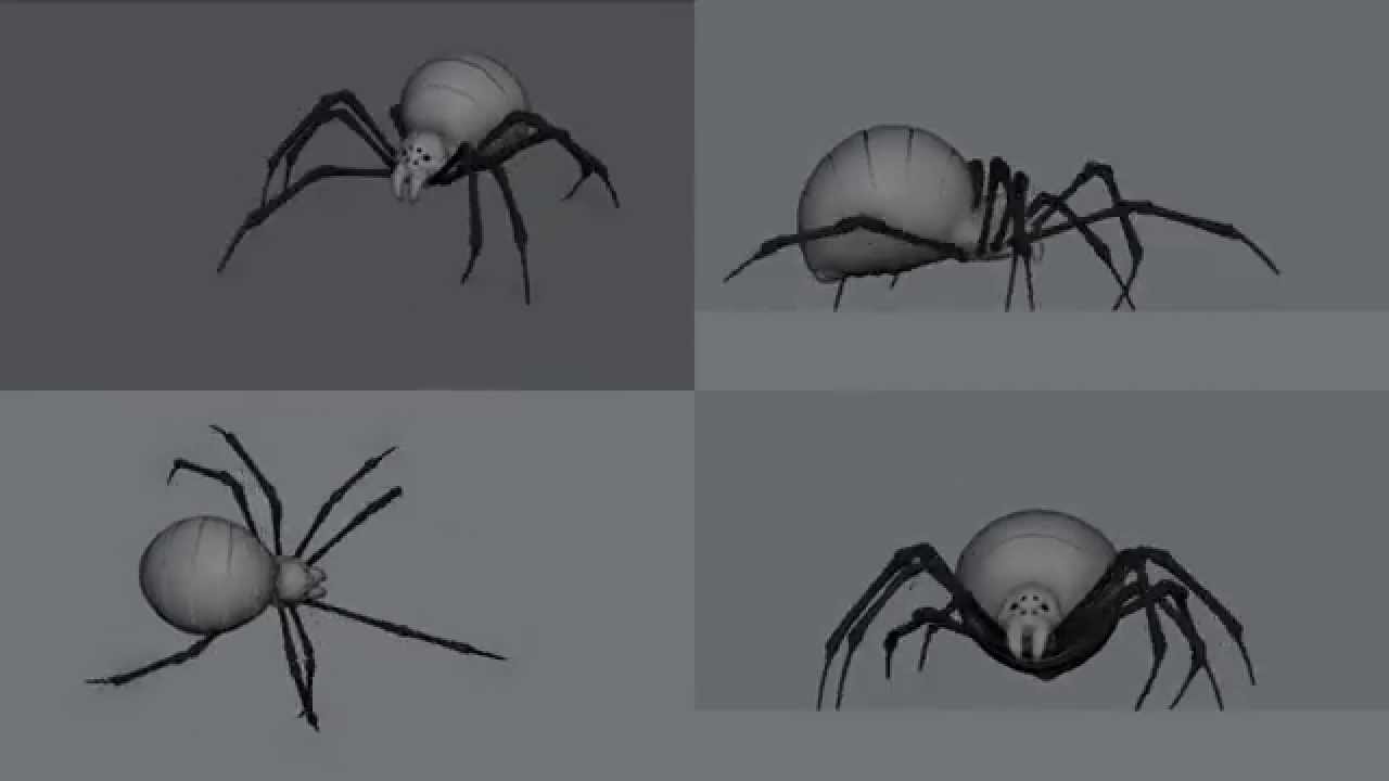 Spider Walk Cycle Final 4 Views Youtube