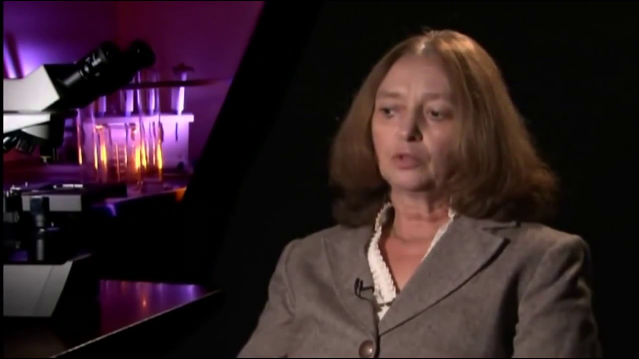 Плесень Чёрная плесень Документальный фильм Mold Black mold Documentary ...