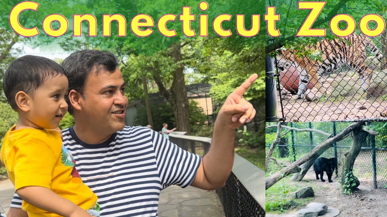 A fun filled day at Beardsley Zoo Connecticut #zoo #zooanimals #funday ...