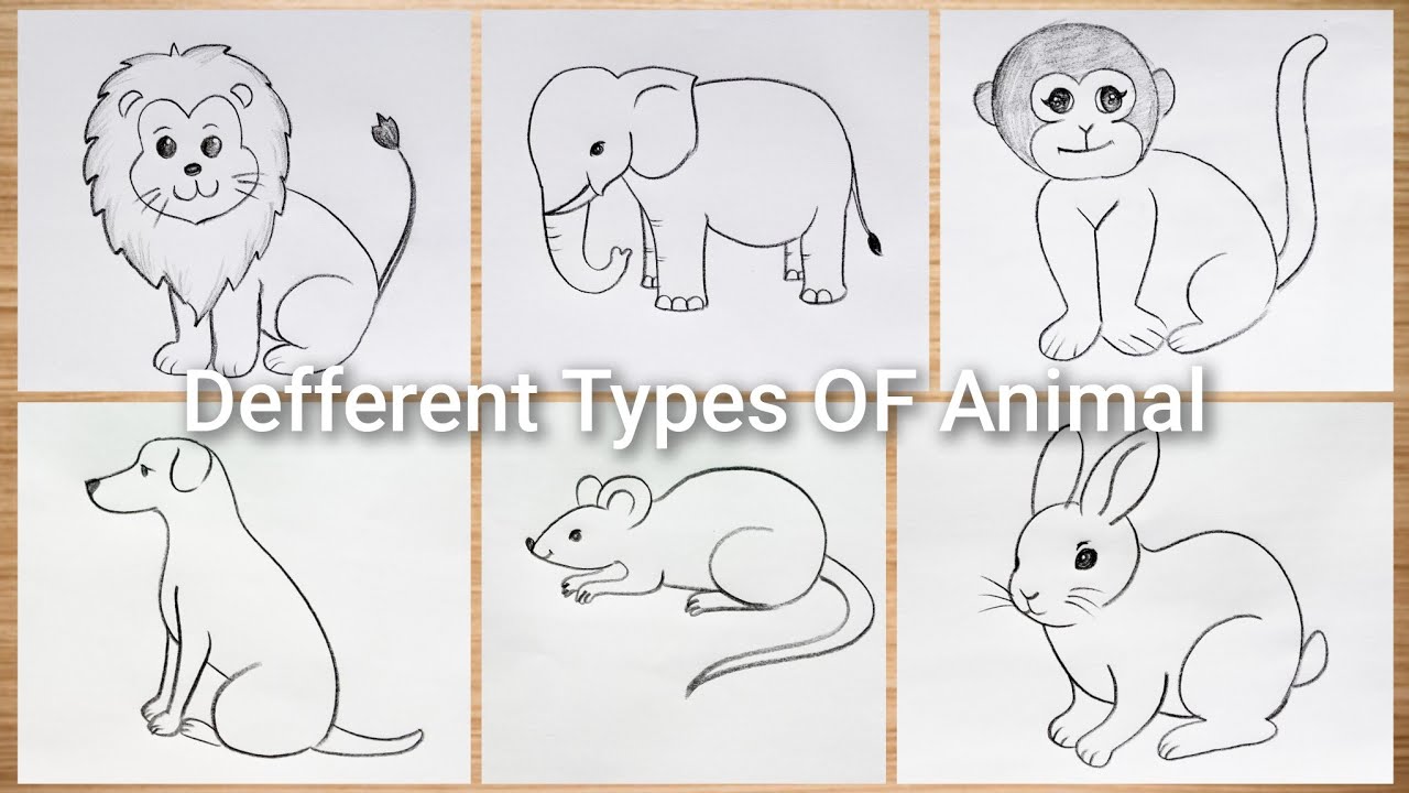 How to draw Defferent Types OF Animal || Animals drawing ...