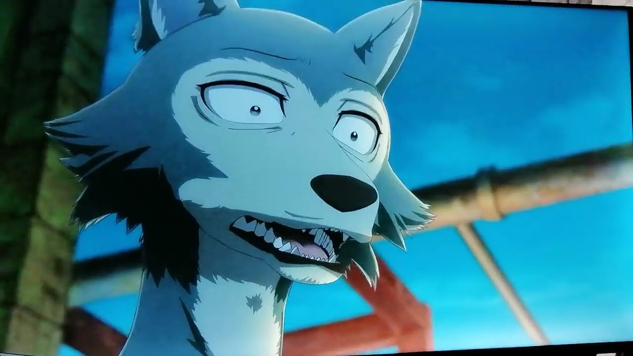 Legoshi Y Sus Amigos En El Mercado Negro 🐺🐯🦅🐆🍖 - YouTube