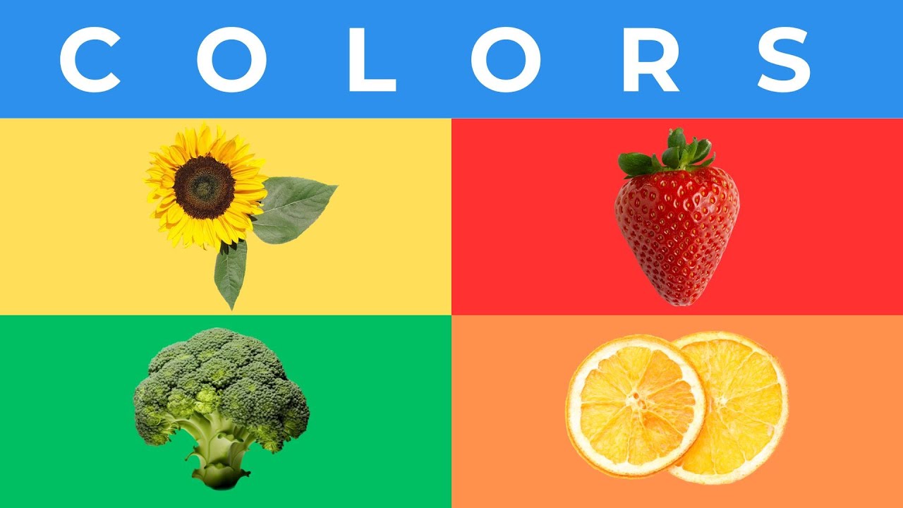 Learning Colors For Toddlers: Colors Learning for 2 Years Olds # ...