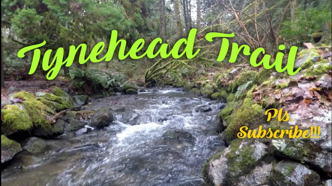 Tynehead Trail Hike, Tynehead Regional Park - YouTube