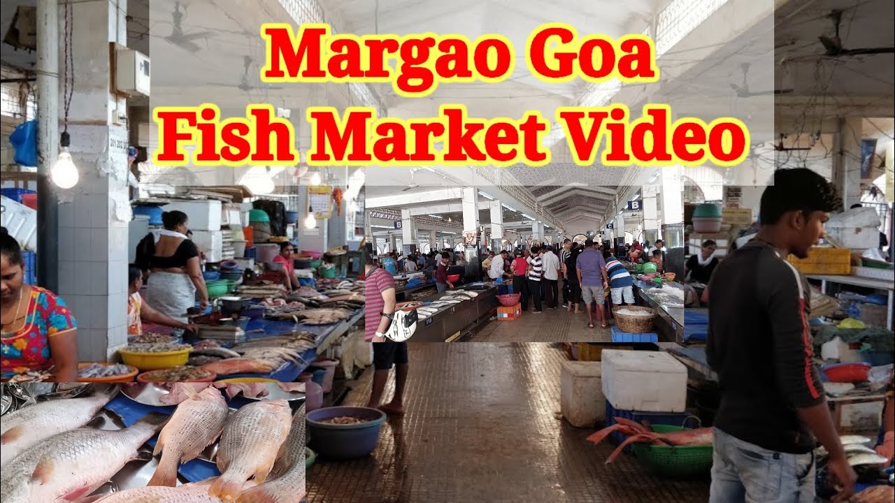 Margao fish market goa 🐠 || margao wholesale fish market margao goa 🦈 ...