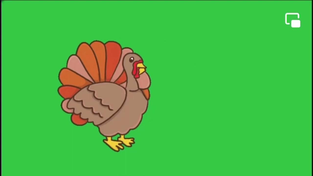Turkey green screen - YouTube
