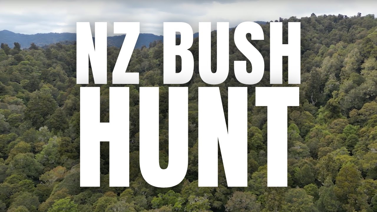 NZ BUSH HUNT | Solo Hunting of Public Land - YouTube