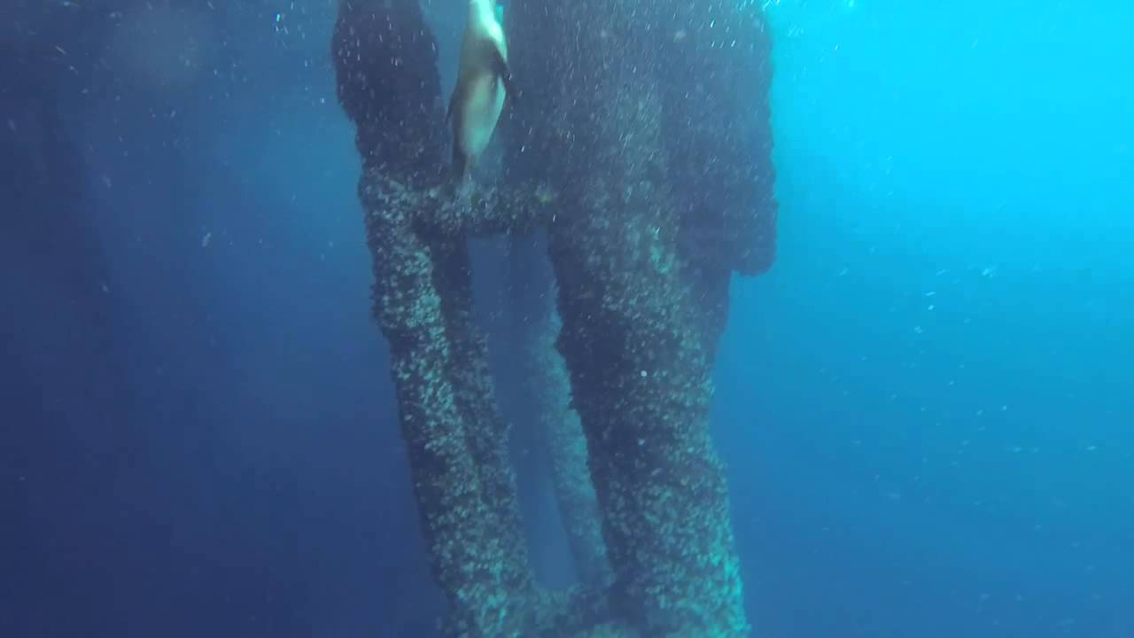 Eureka oil rig dive 12 - YouTube