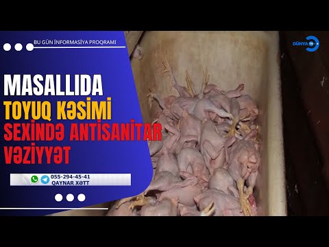 Masallı toyuq kəsimi sexində anti-sanitar vəziyyət