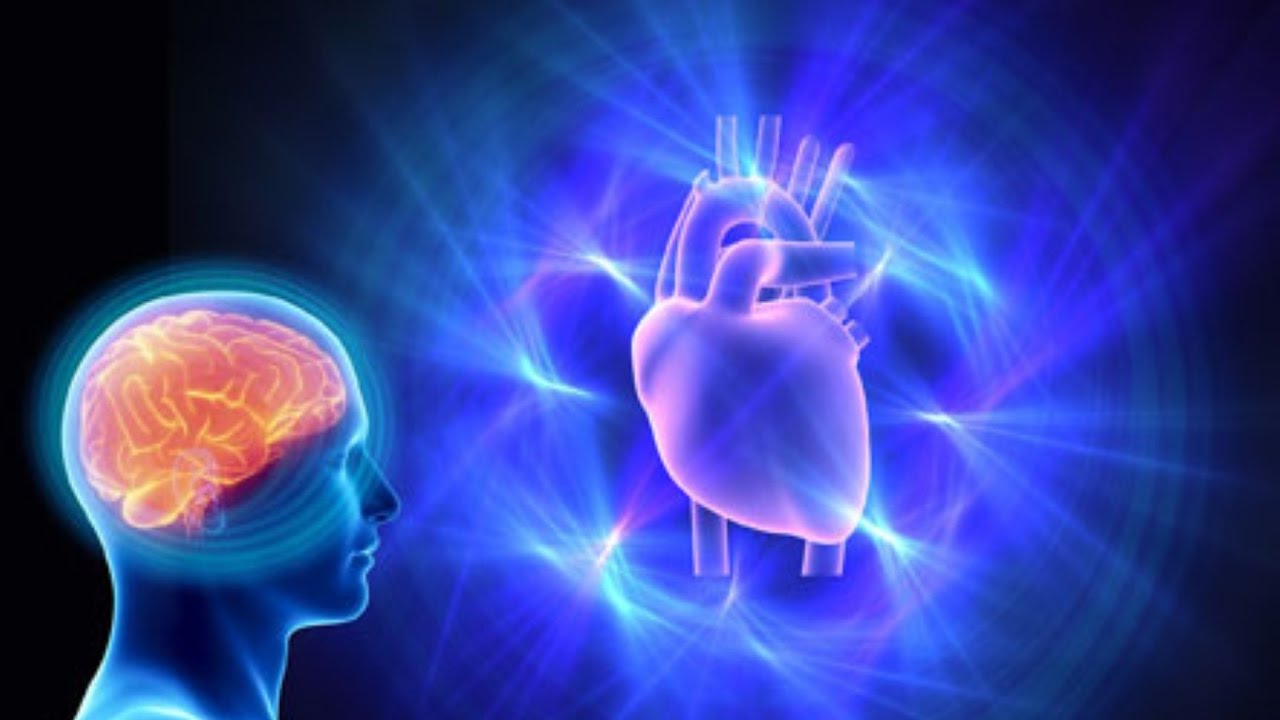 Le coeur Intuitif: Il capte les informations subtiles en premier pour ...