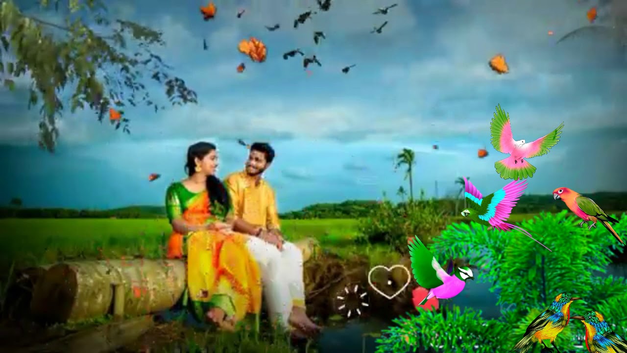 New Status Bengali Status Video new Status Video 2020 By Dharma Correction YouTube new-status-bengali-status-video-new-status-video-2020-by-dharma-correction-youtube