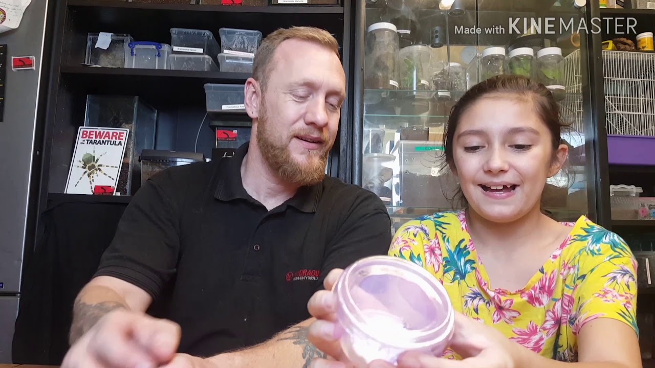 The Southern Invert Show pick ups and A bug realms gift - YouTube