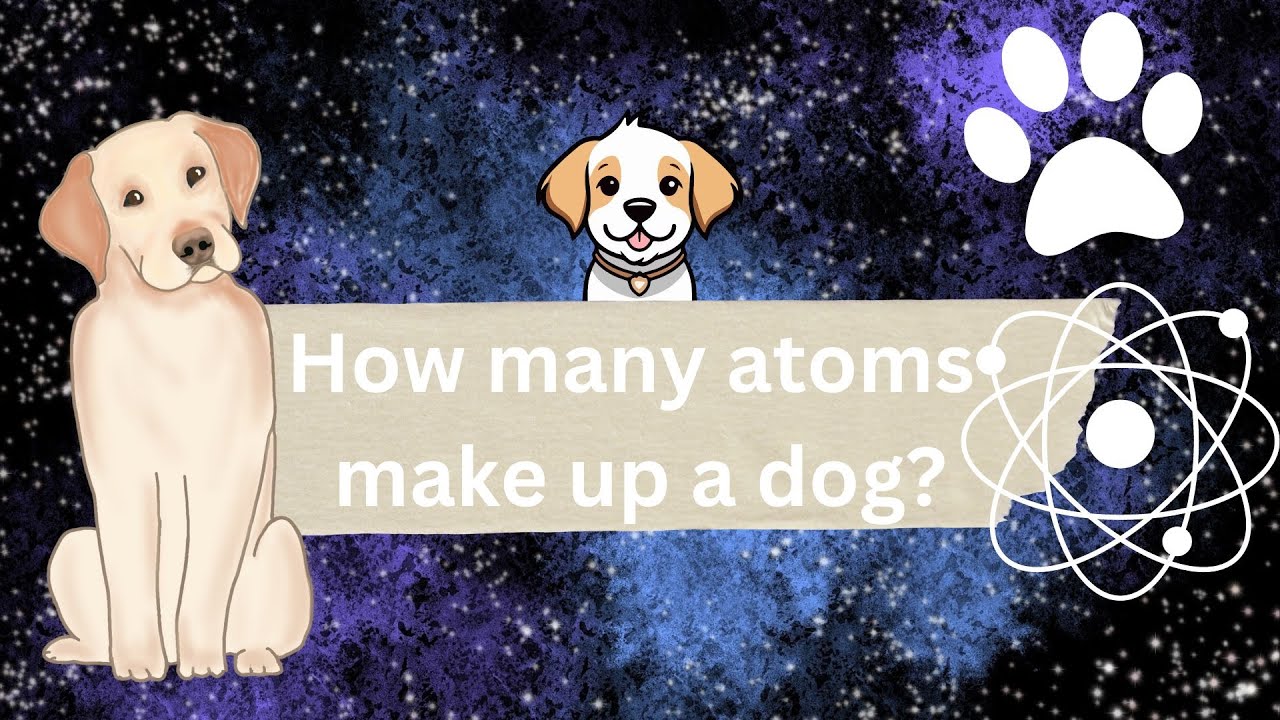 How many atoms make up a dog? - YouTube