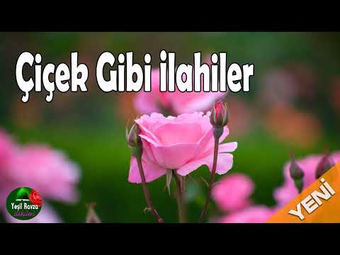 Çiçek Gibi İlahiler 💖 Karışık Harika İlahiler 💖 Yeşil Ravza İlahileri