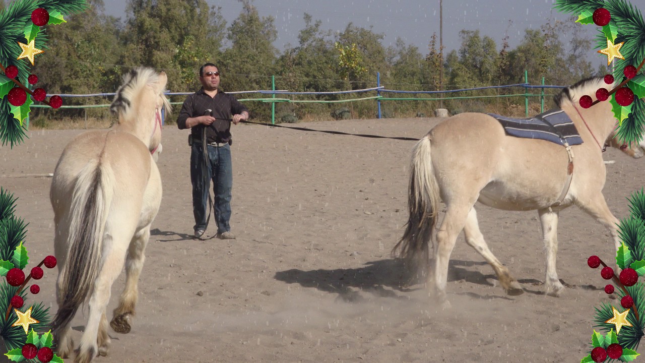 Merry Christmas 2016 From JMHM - YouTube