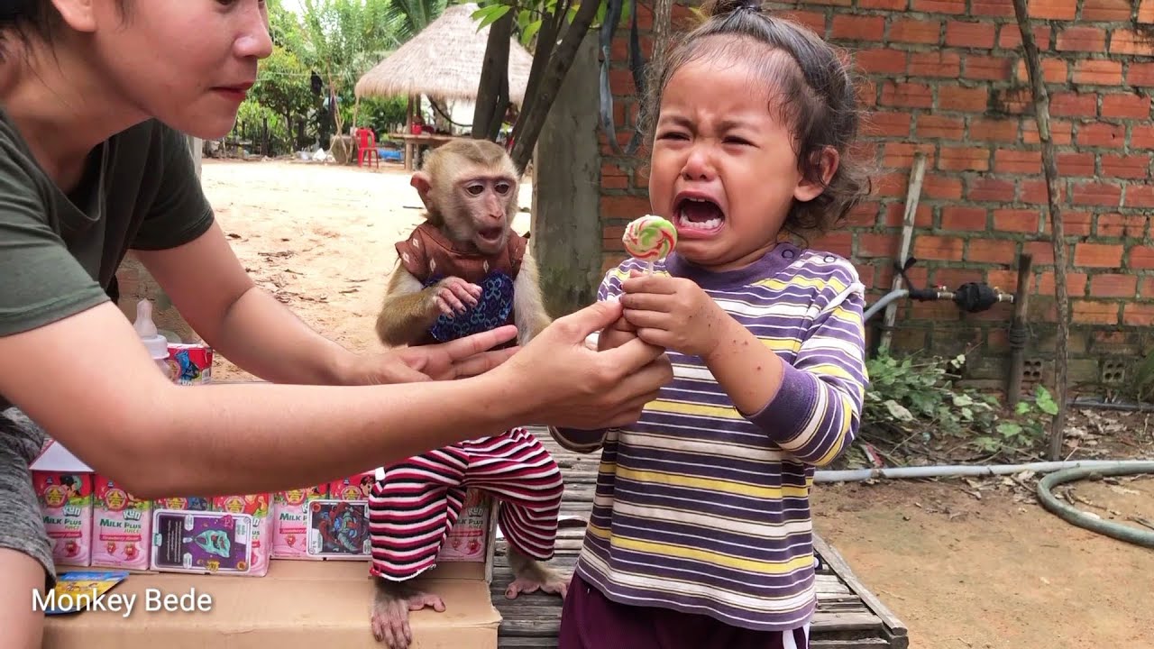 OMG !! Spoiled BEDE Make RIDA Crying | BEDE Try To Seize Candy From ...