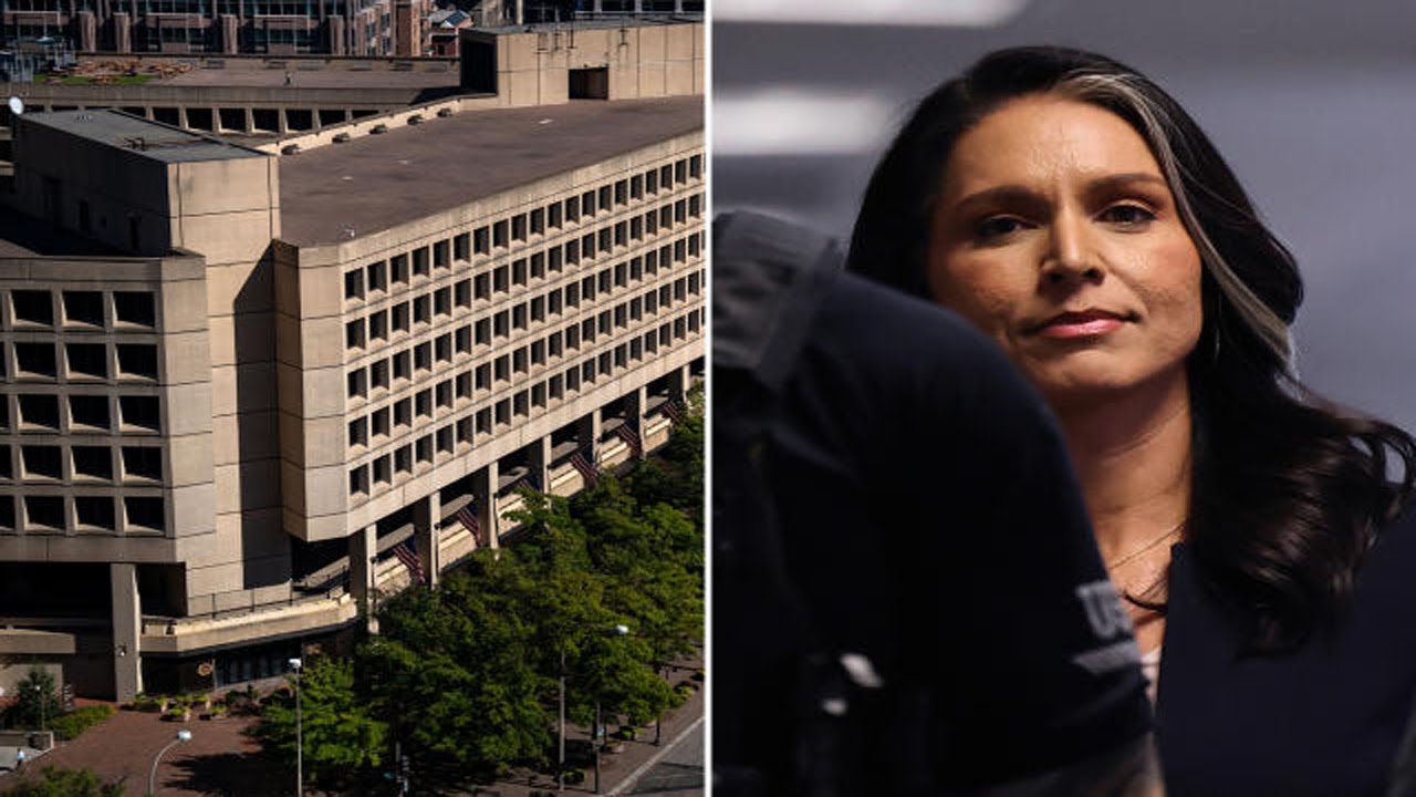 Trump’s DNI pick Tulsi Gabbard defends controversial foreign spy power ...