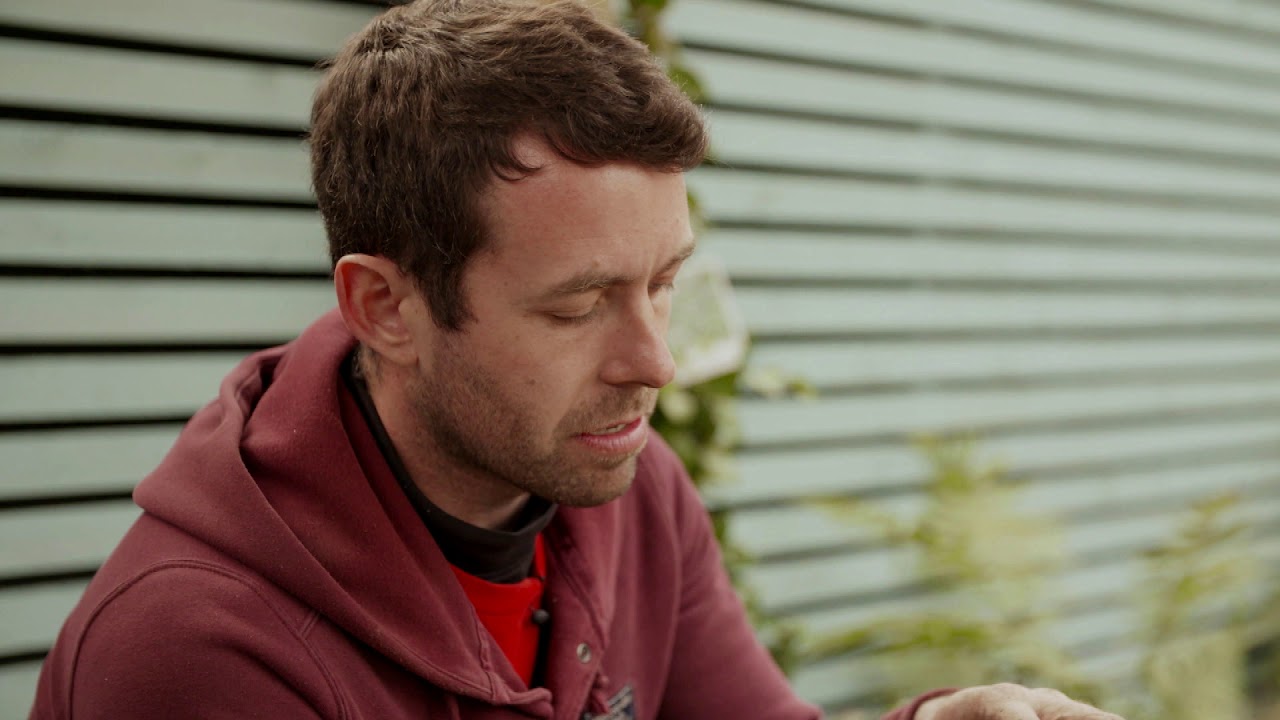 RTÉ Super Garden Episode 3: Take a Sneak Peek at Mark Hoey's garden ...