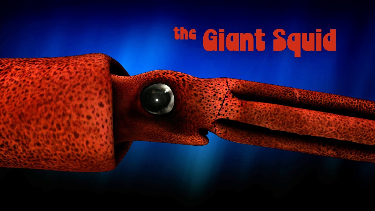 Inside Nature’s Giants – Giant Squid - YouTube
