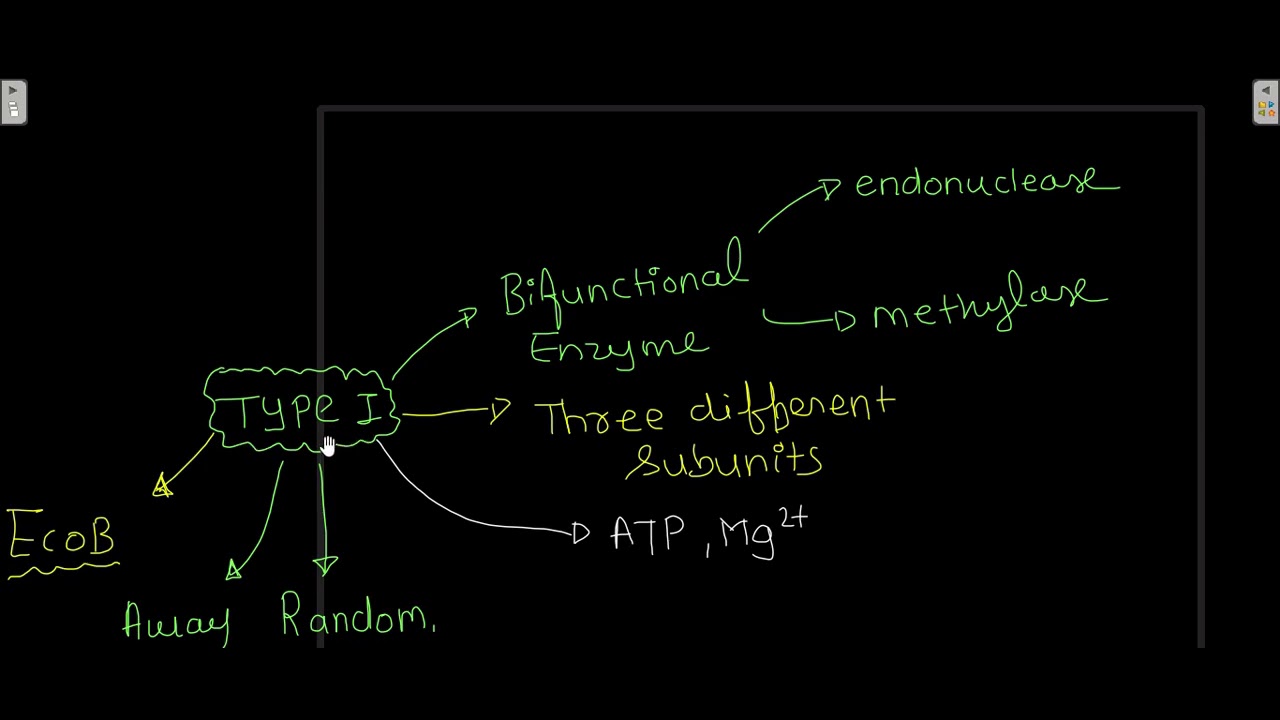 Restriction modification system - YouTube
