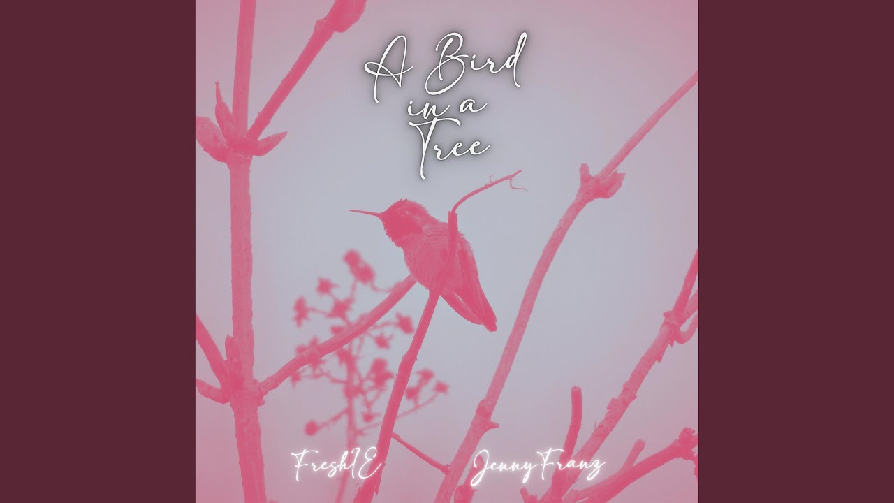 A Bird in a Tree (feat. Jenny Franz) - YouTube