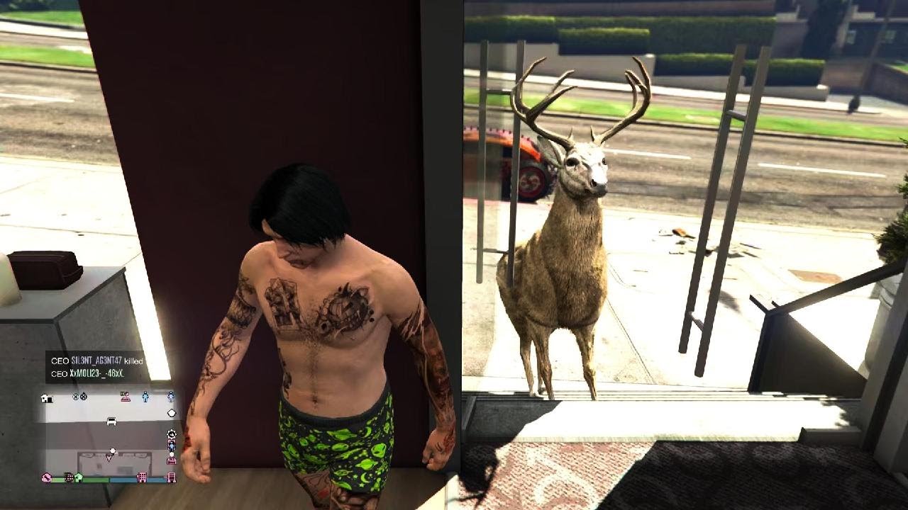 Goofy Ah Deer - YouTube
