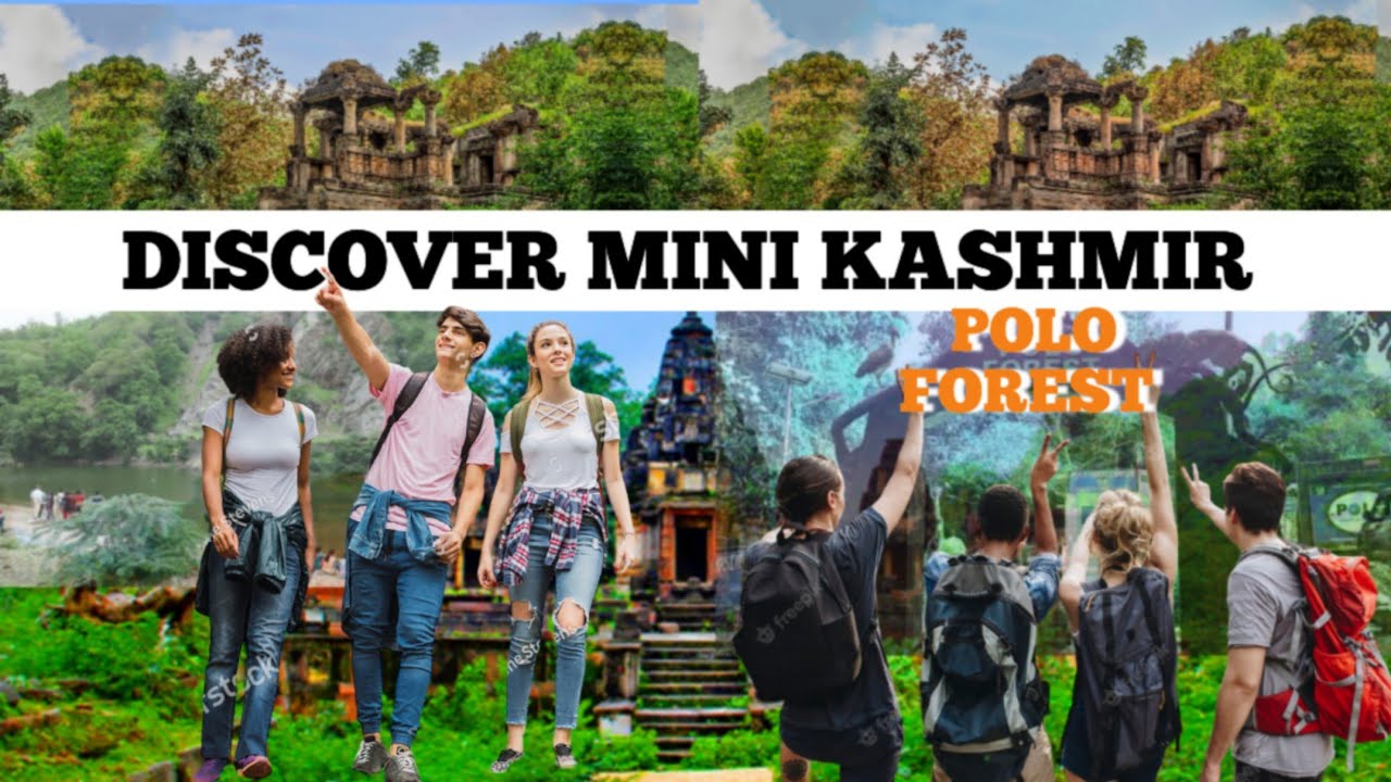 Discover Mini Kashmir: A Serene Escape in Polo Forest🌳🐻 Vijaynagar ...