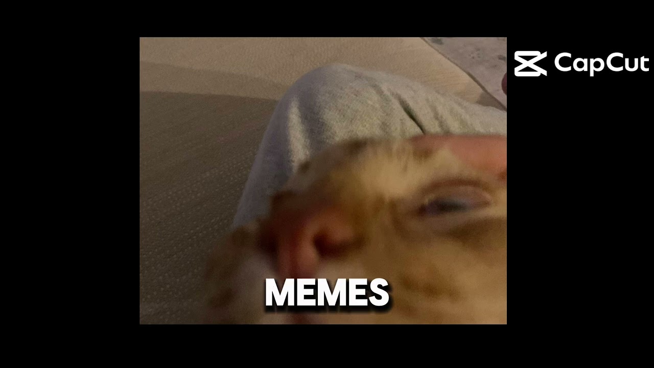GREAT meme reset here we come comment if your team reset - YouTube
