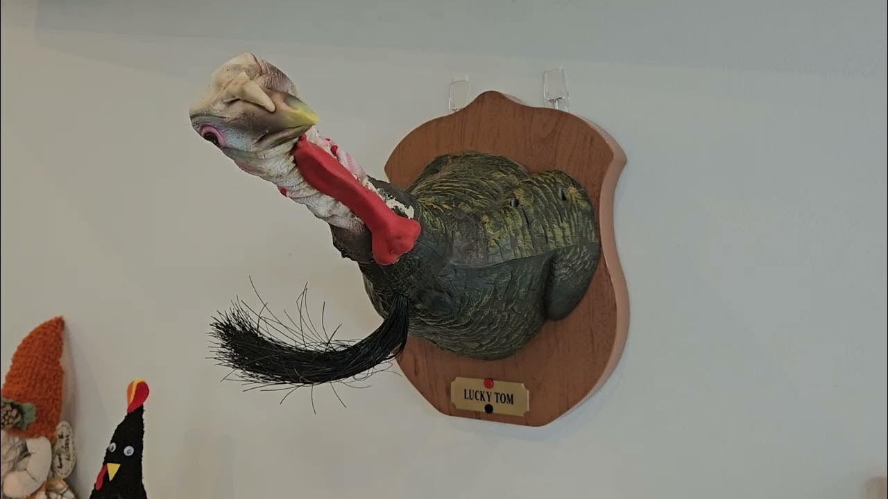 Gemmy Lucky Tom the talking & singing turkey - YouTube