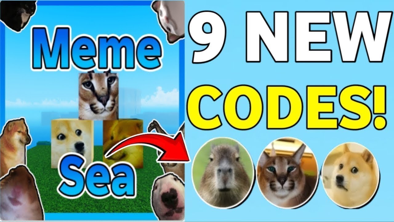 💥New💥 All Working Codes For Meme Sea November 2024 - Roblox Meme Sea ...