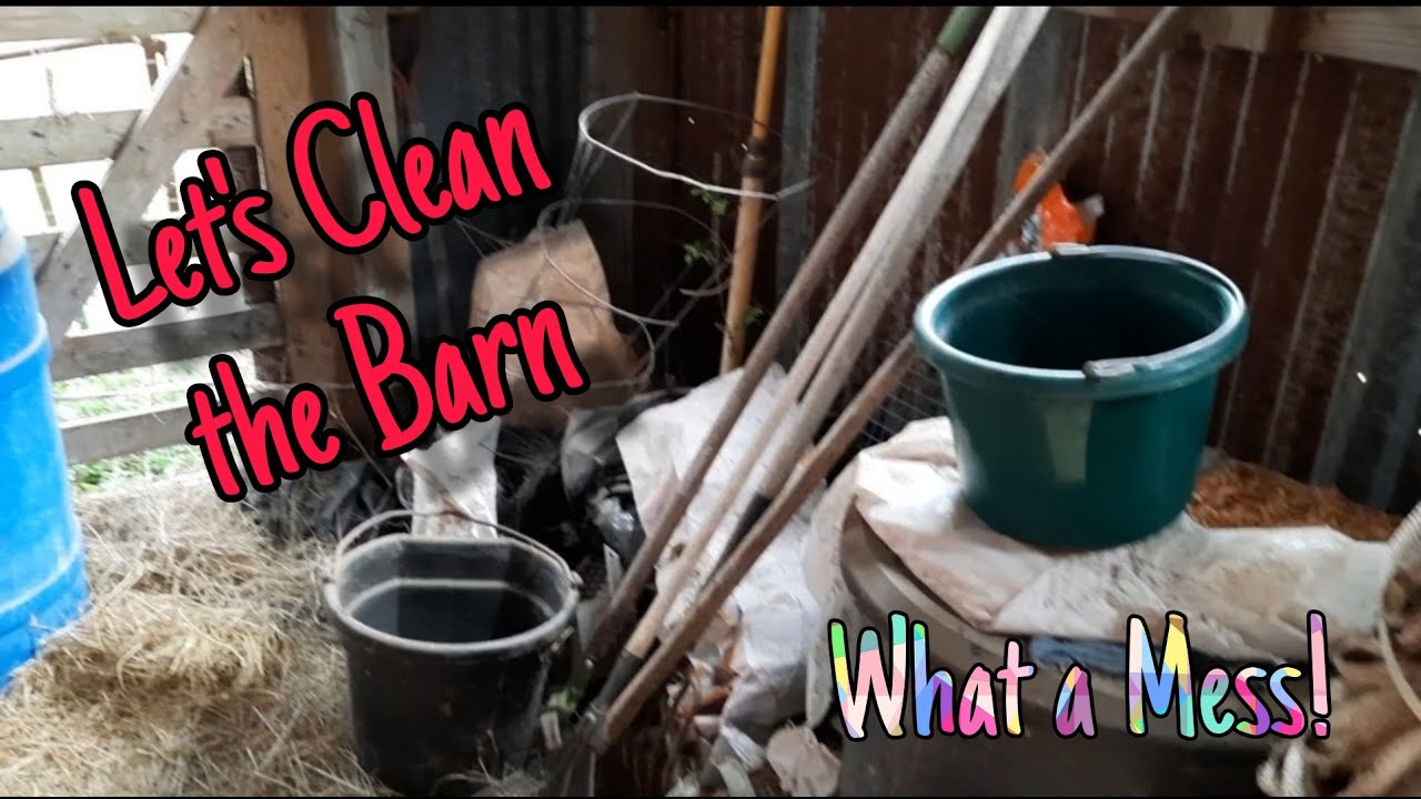 Barn Clean Out - Garden Tool Organization - YouTube