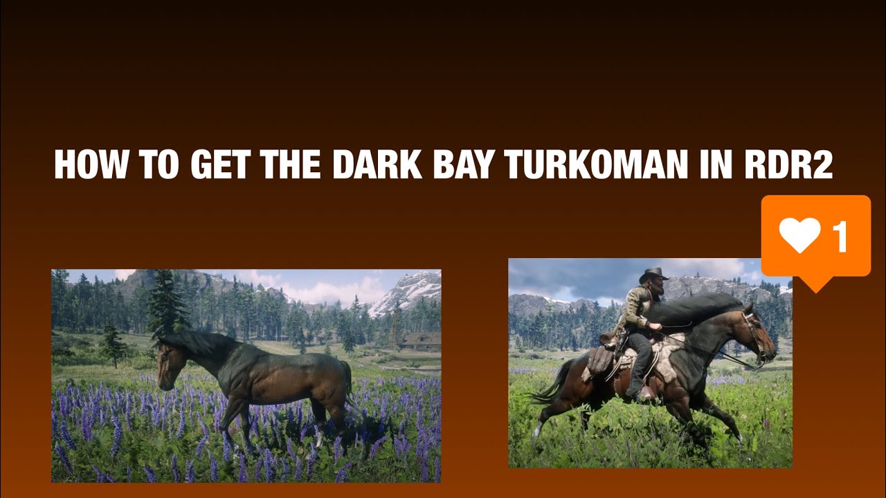 HOW TO GET THE DARK BAY TURKOMAN IN RDR2 - YouTube