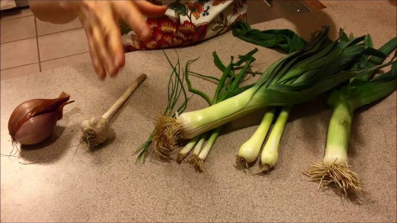 Intro to Cooking: Meet the Family - YouTube