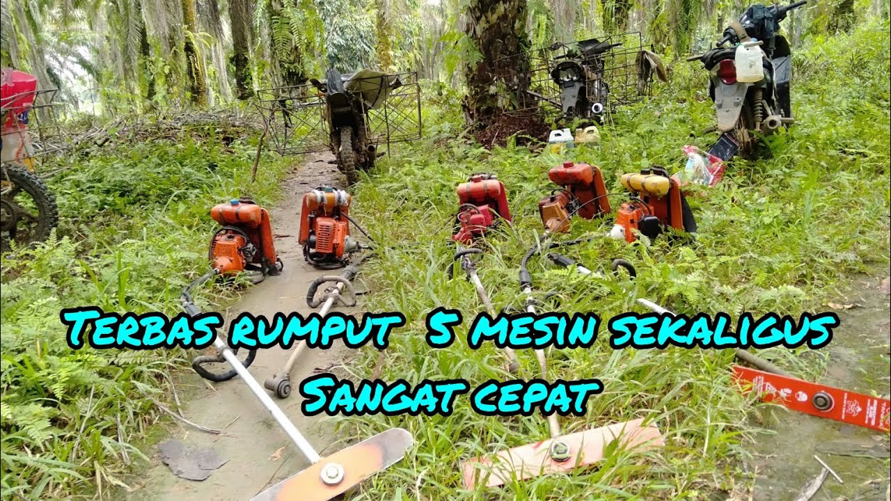 Mesin rumput, Terbas 5 mesin sekaligus adu cepat - YouTube
