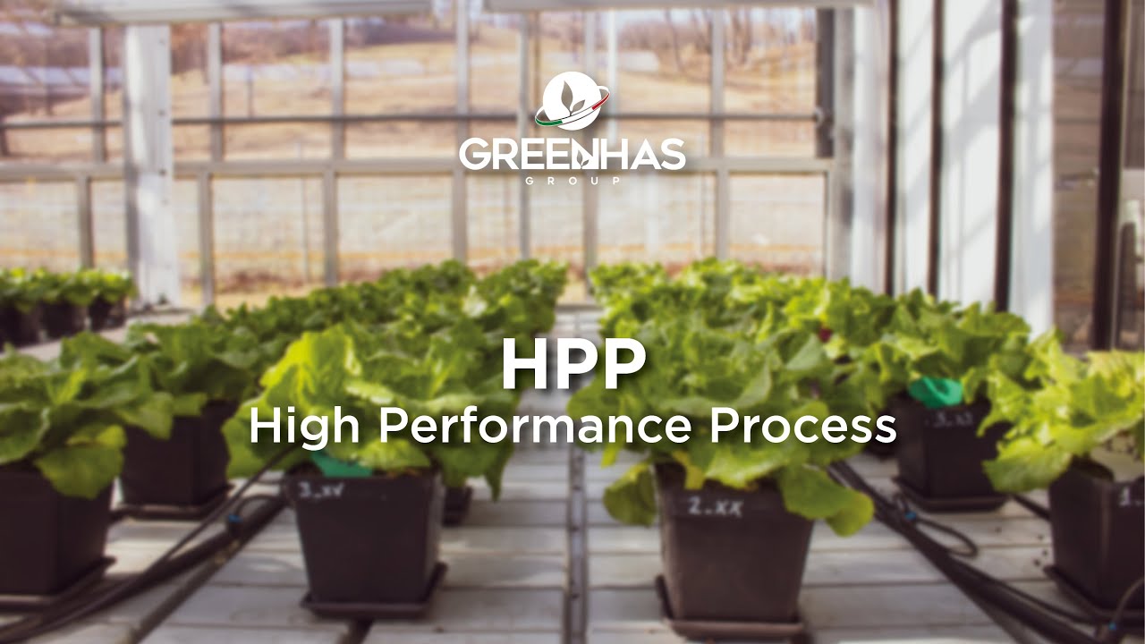 ES//HPP - High Performance Process - YouTube