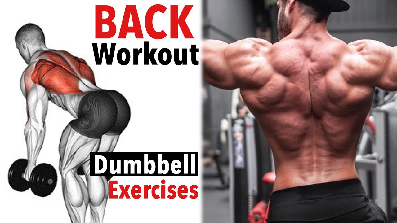 Back Workout with dumbbells || Dumbbell Back Workout - YouTube