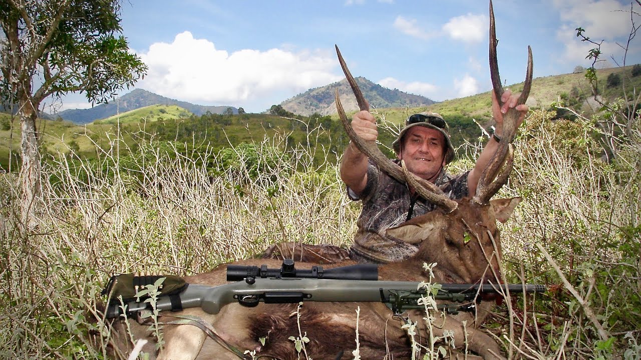 Hunting Rusa deer in the roar with 300 WSM at 256 meters New Caledonia ...