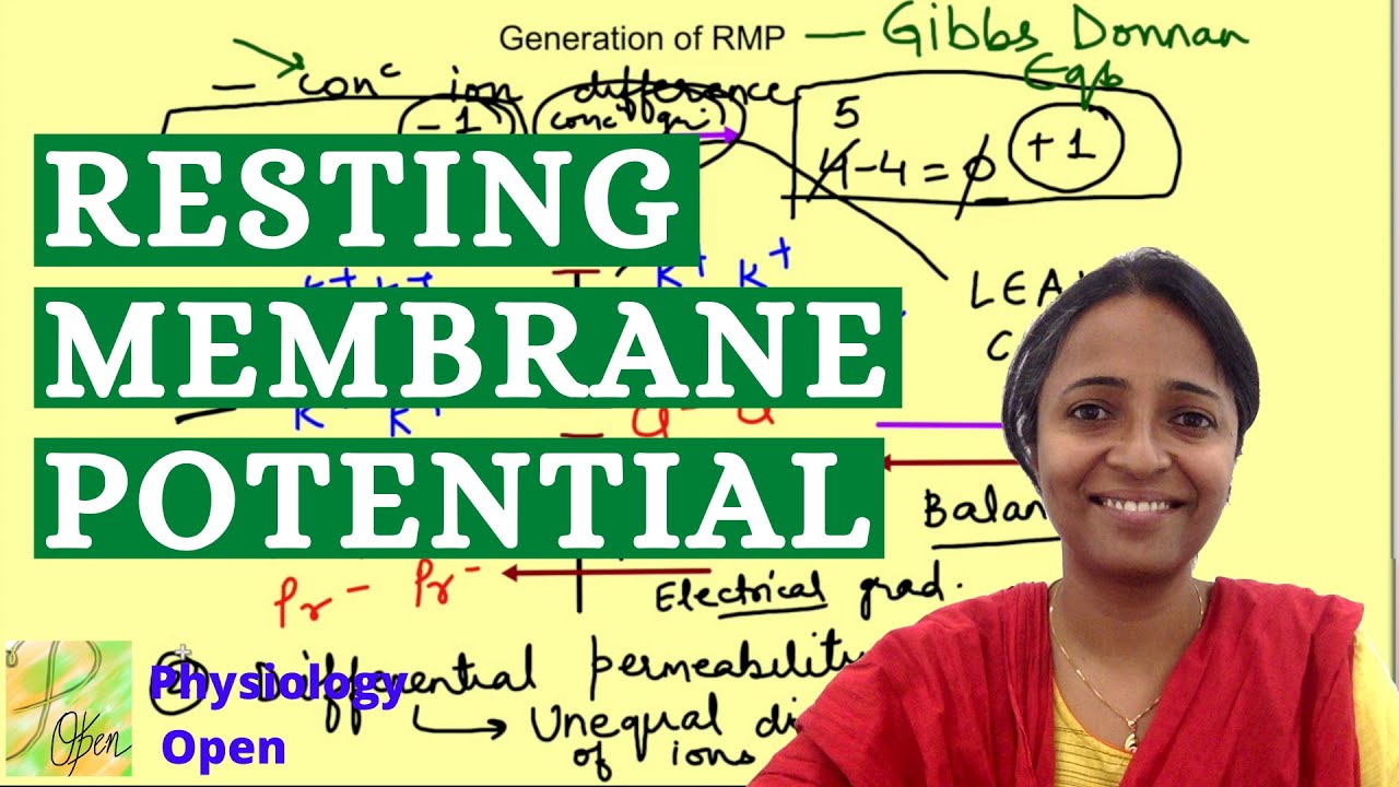 Resting membrane potential physiology guyton mbbs 1st year - YouTube