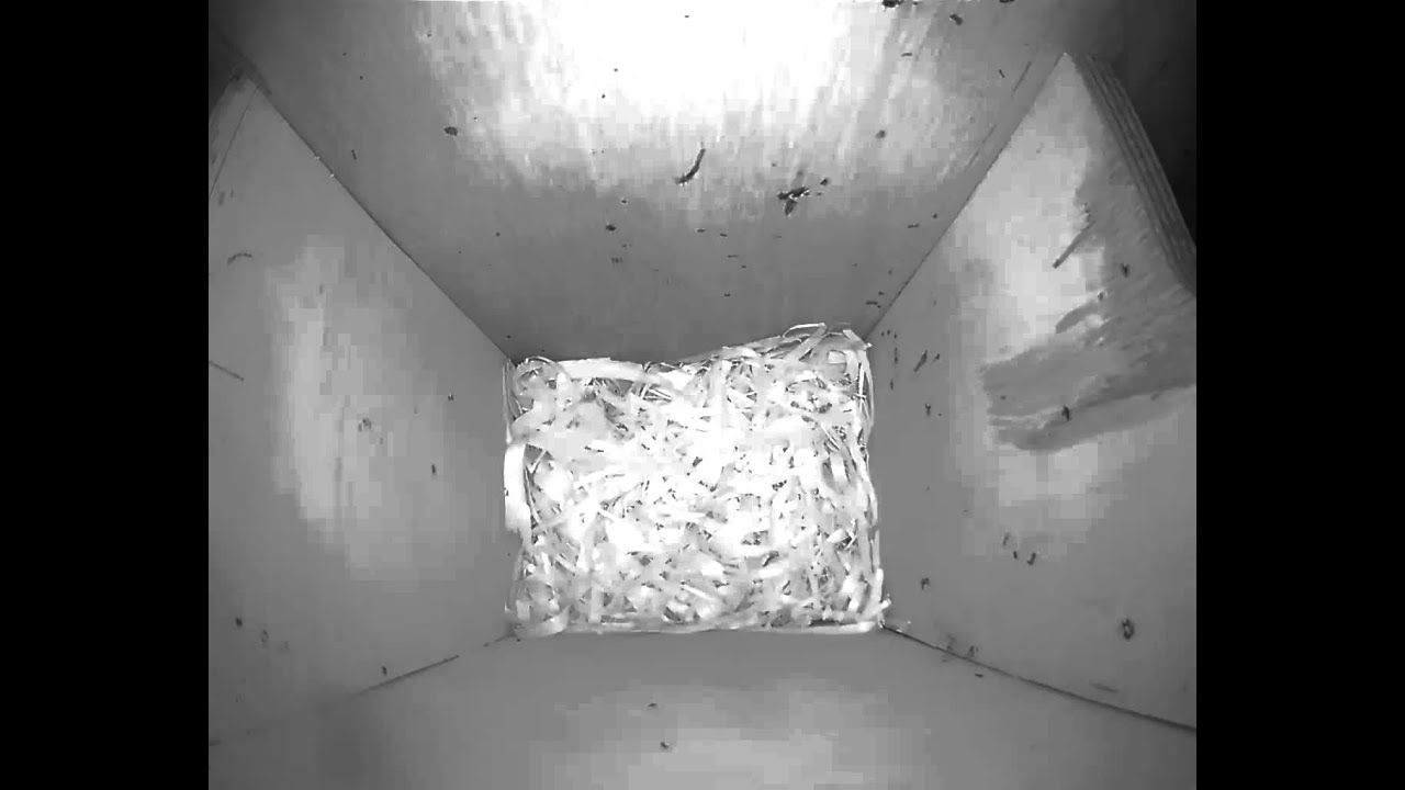 20151204 An Empty Box YouTube 20151204 An Empty Box YouTube