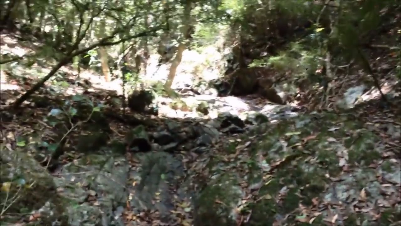 Alluvial Gold Prospecting - How to Get Gold from a Crevice - Crevicing ...