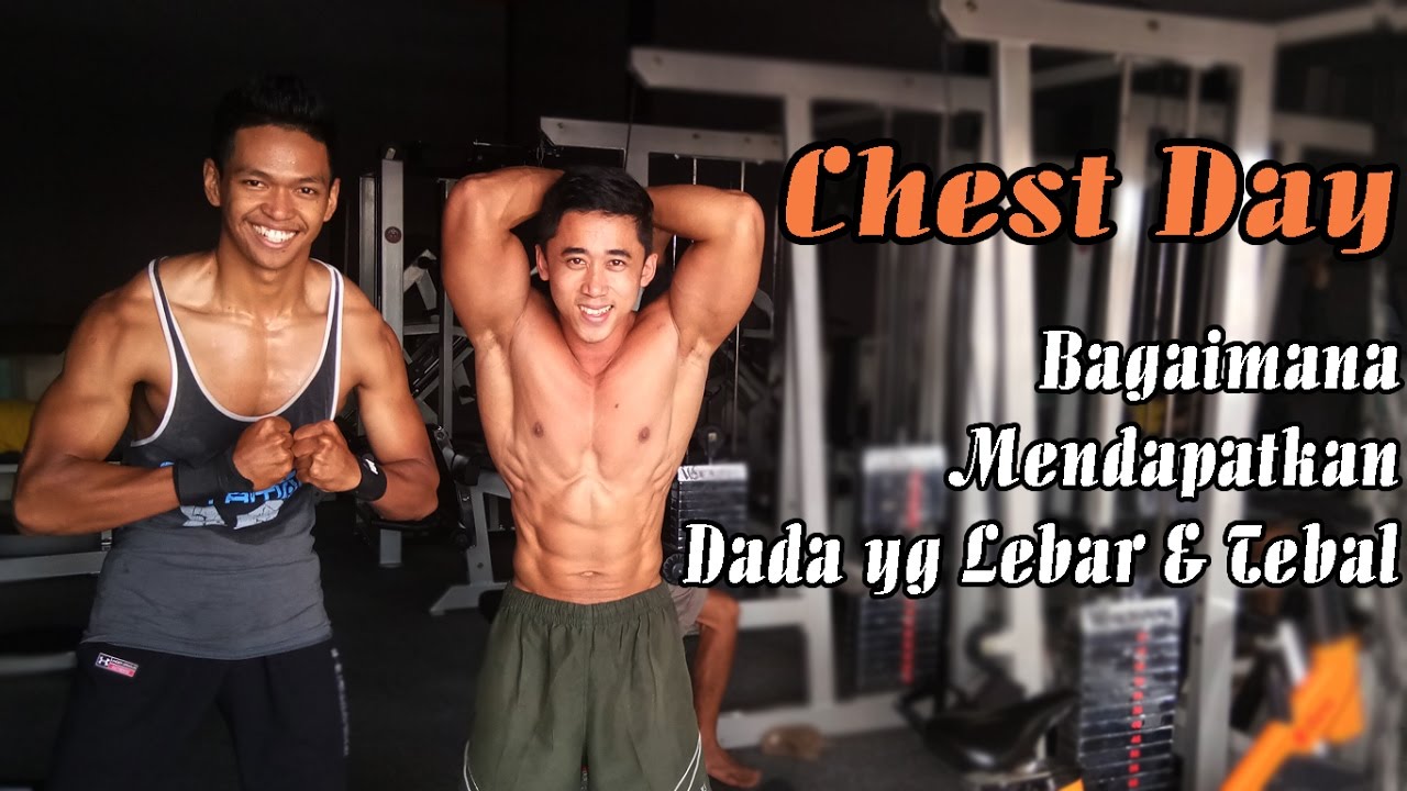 Chest Workout (Cara Melatih Otot Dada Agar Lebih Lebar dan Tebal) - YouTube