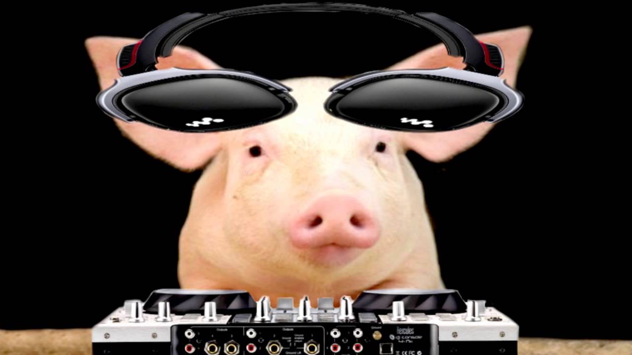 🐷The pig Dj remix 🐷 - di Alessandro Bianchi - YouTube