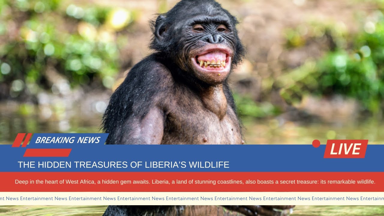 The Hidden Treasures of Liberia’s Wildlife | LIB 9 News - YouTube