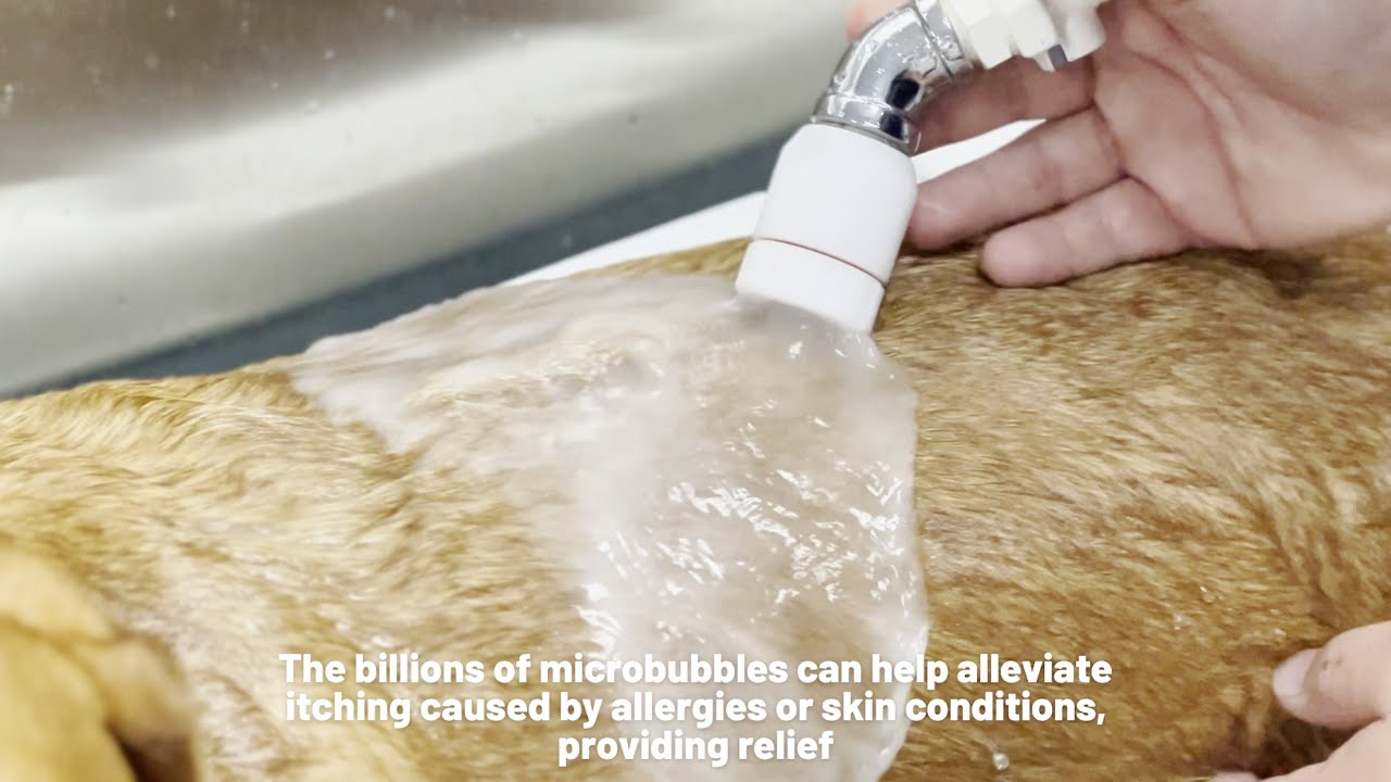 Microbubble Therapy - YouTube