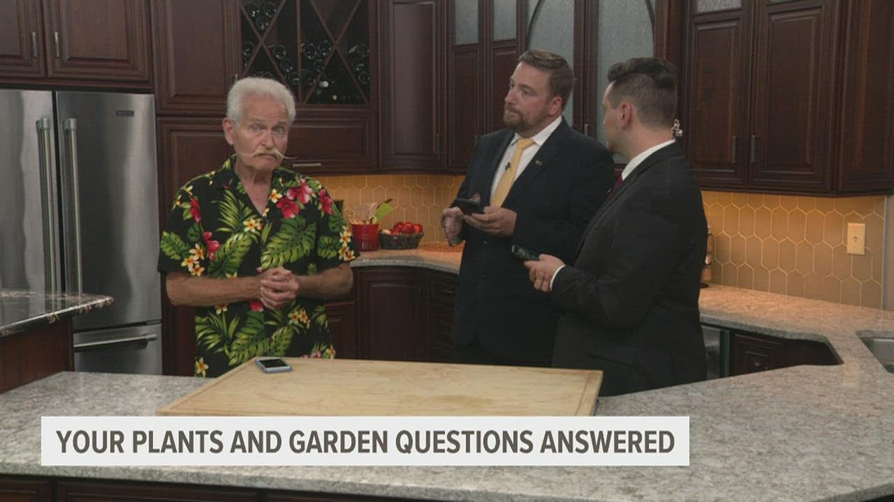 Plants & Gardens Q&A with Craig Hignight | Sept. 21, 2022 (Part 2 ...