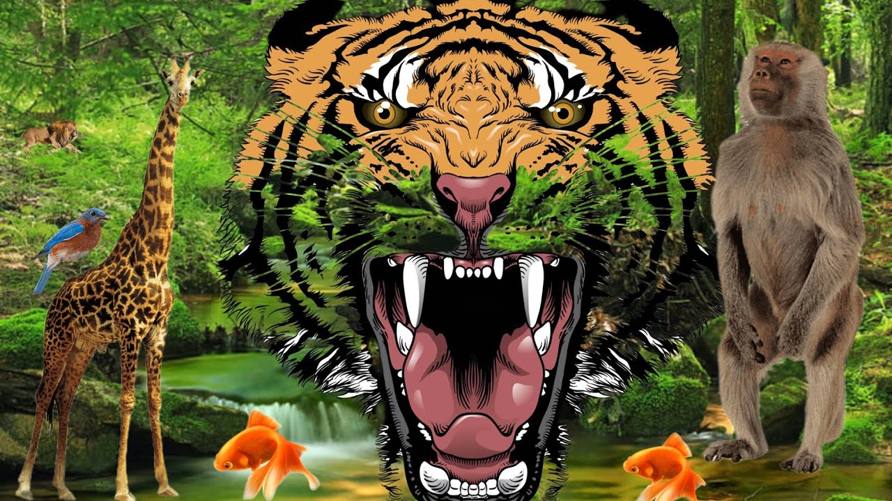 a collection of animal sounds, tigers, giraffes, snails and others# ...
