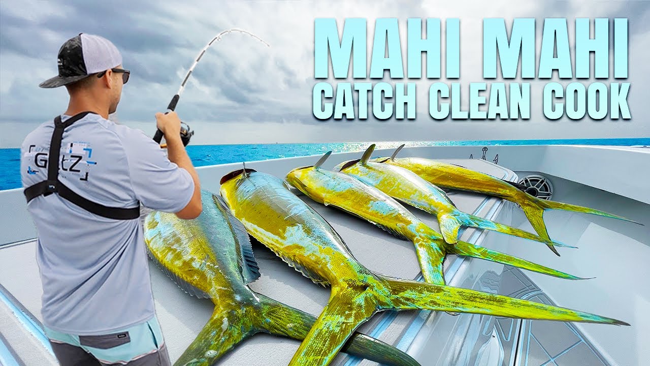 Tips to HELP Catch Mahi Mahi Offshore | Catch Clean Cook - YouTube