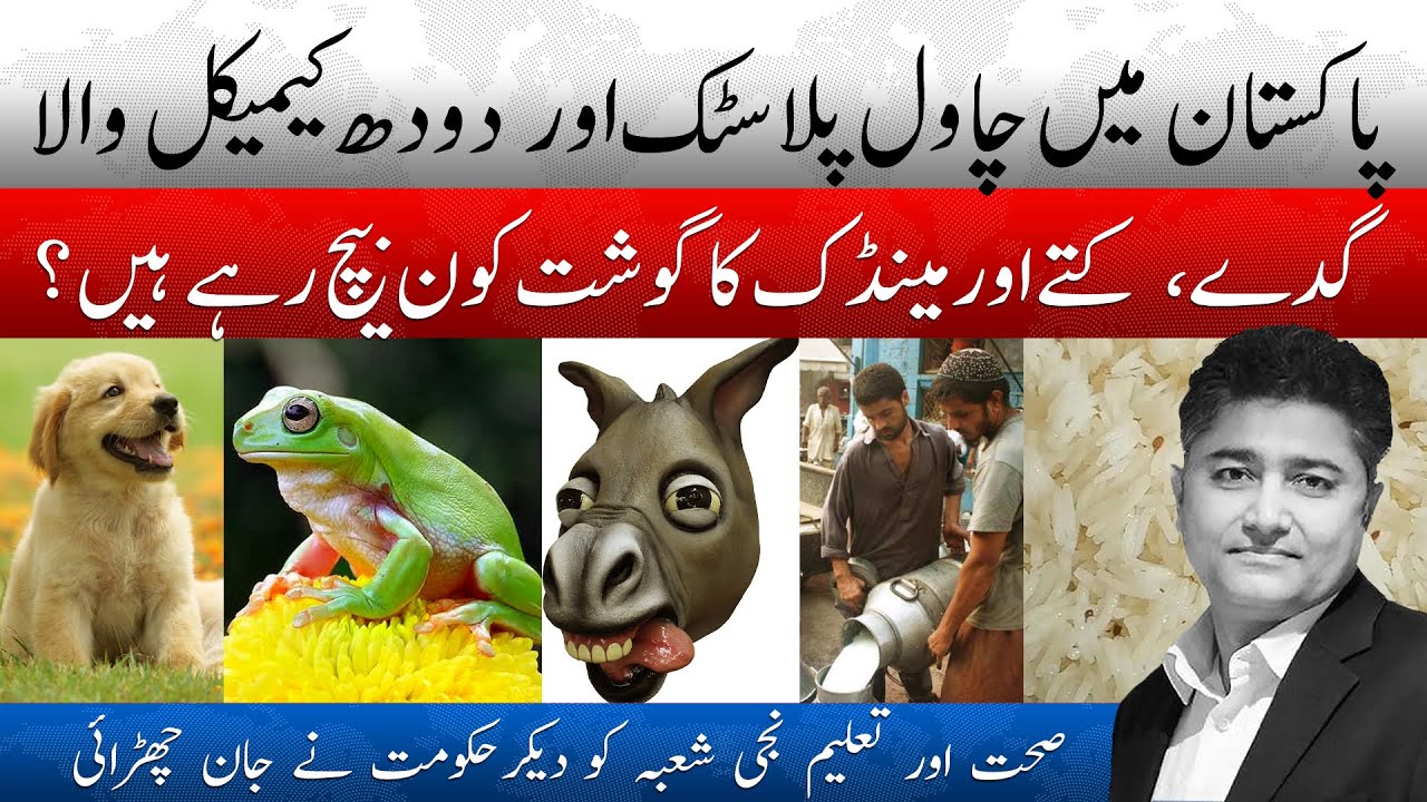 National Food Security At Risk | Dog Donkey & Frogs Meat Sale | Nadeem ...